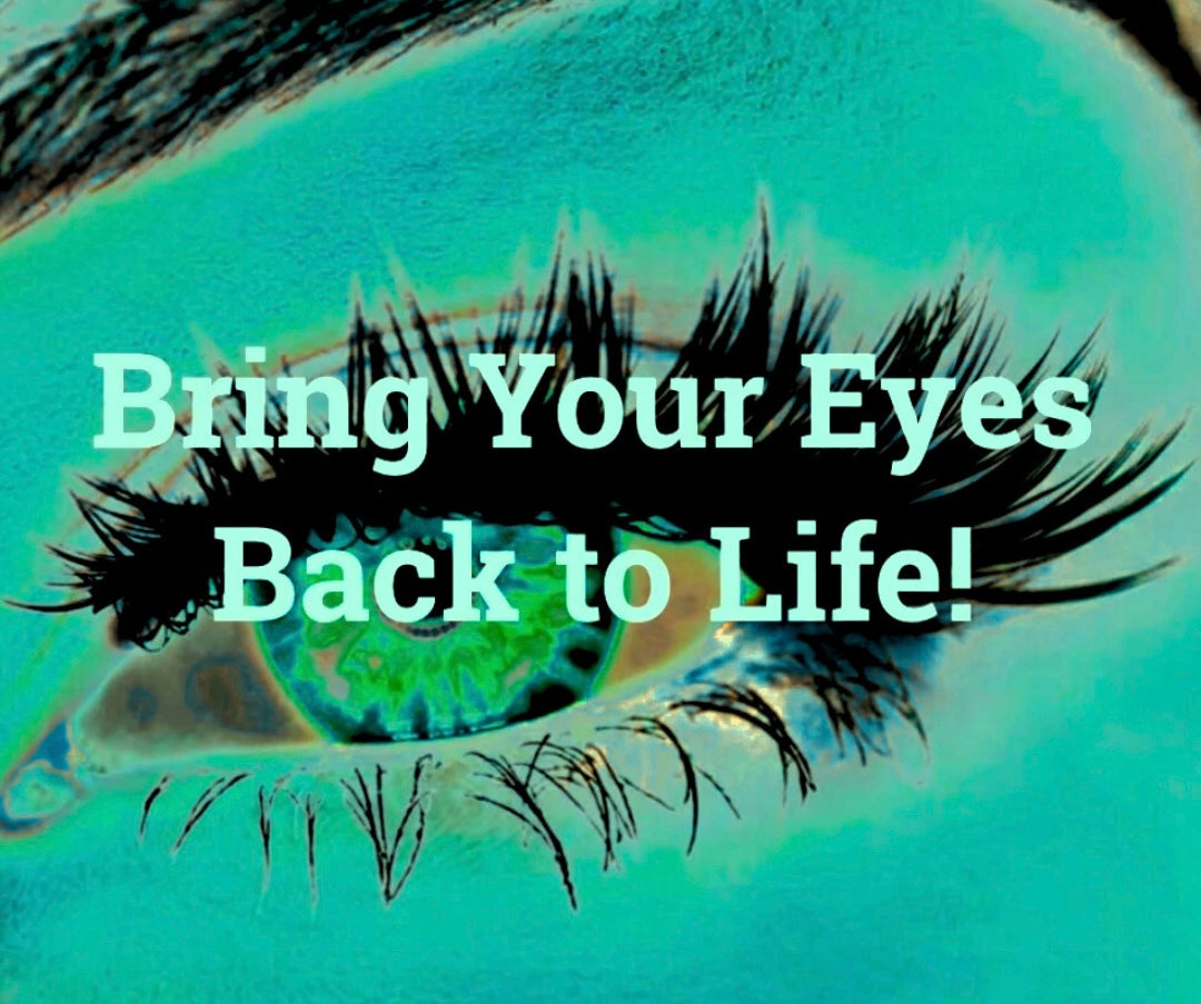 Seasonal Changes and How they affect your Retention... – Zombie Lash